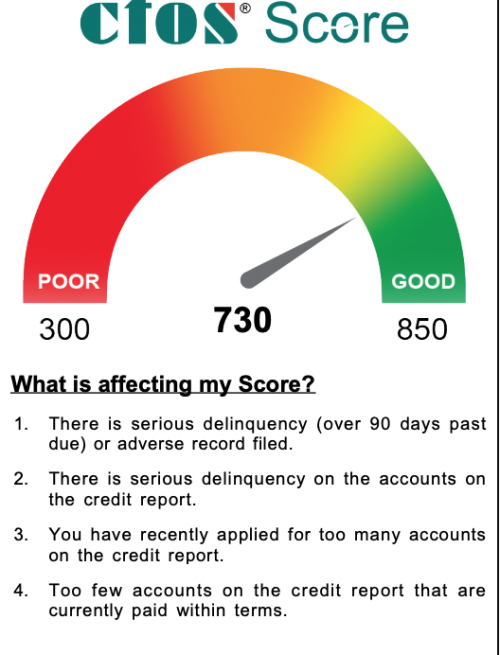 Help me analyse my CTOS score and result.