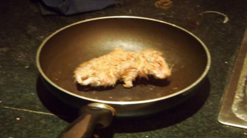 my sister cook my hamster wtfffffffffffff