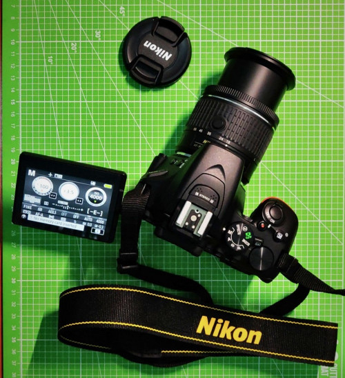 Nikon D5600 (Shutter count: 4200++)