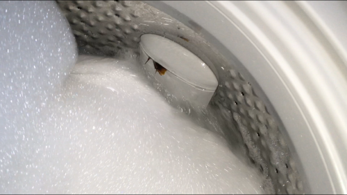 Cockroach trapped inside my mate’s washing machine