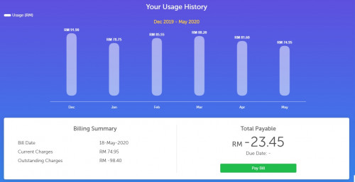 Help me understand my TNB bill.