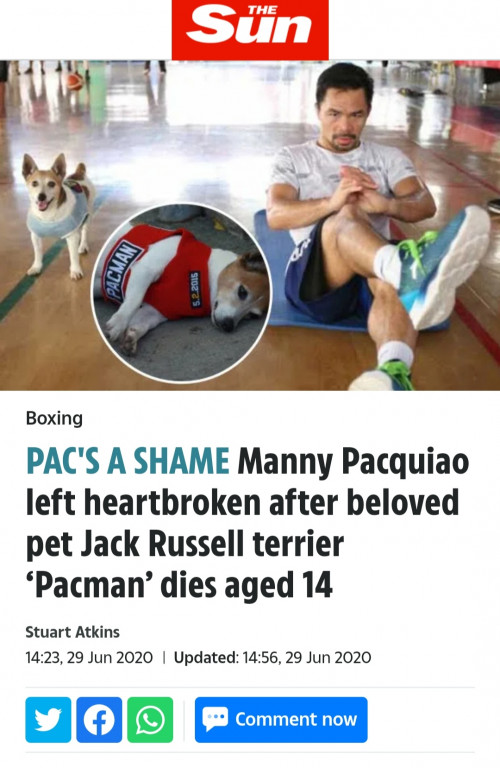 rip pacman