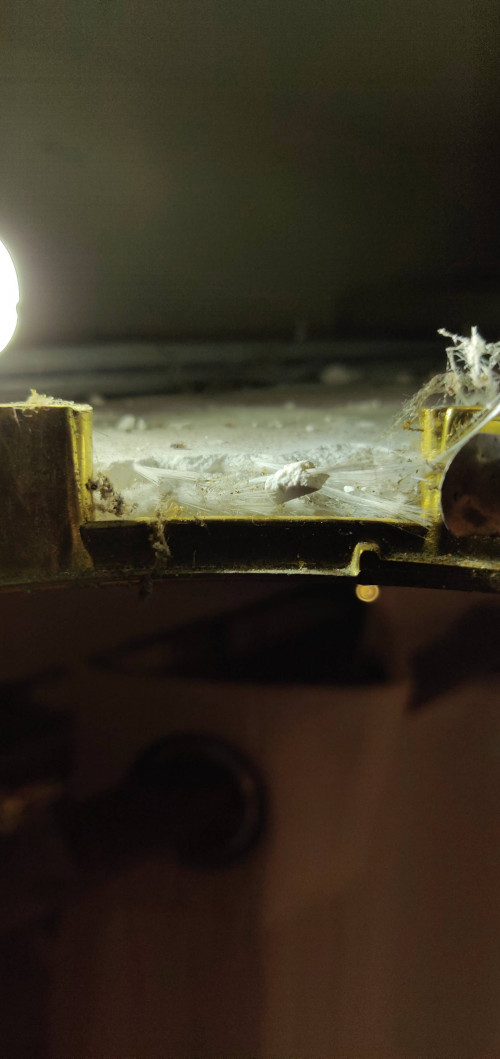 Asbestos in plaster ceiling?