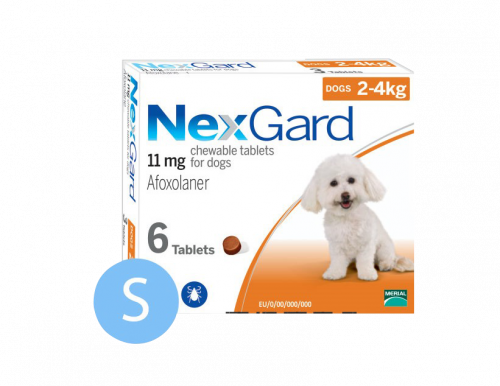 NexGard for dogs between 2-4kg (kills ticks/fleas)
