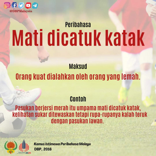 DBP peribahasa - mati dicatuk katak