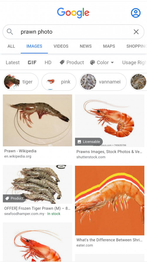 why people like to watch prawn that....