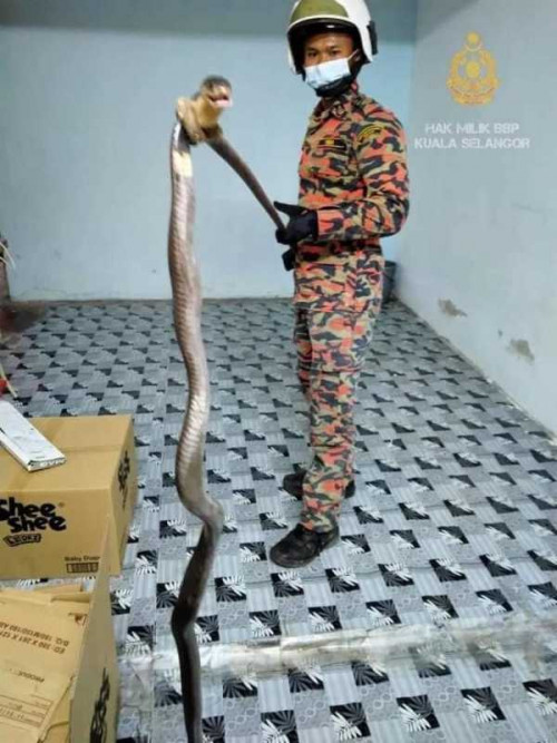 21 600 1000 (1) - Pictr.com