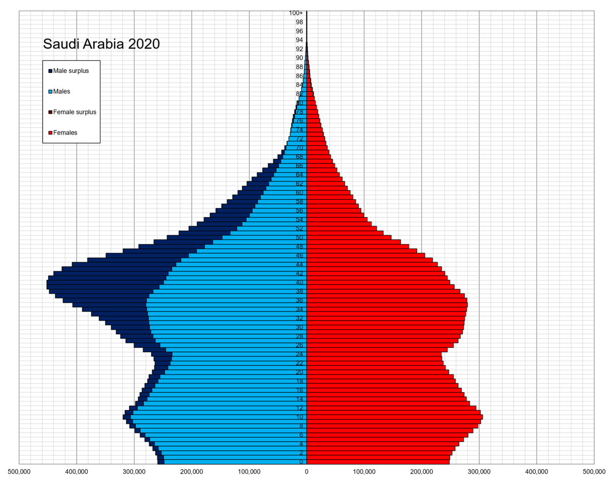 1200px Saudi Arabia single age population pyramid 2020 - Pictr.com