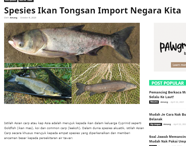2021 04 22 15 26 36 Spesies Ikan Tongsan Import Negara Kita Umpan ...