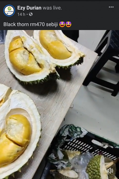 Durian rm470 sebiji