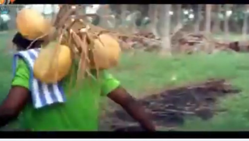 Kattadurai punya petak tadak elok