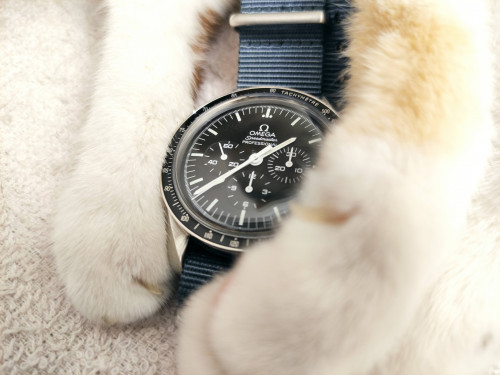 Omega watches see through caseback