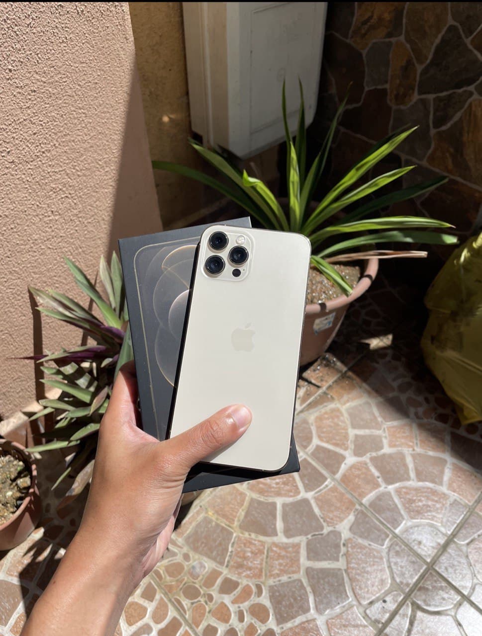 photo 2021 10 25 17 10 33 - Pictr.com