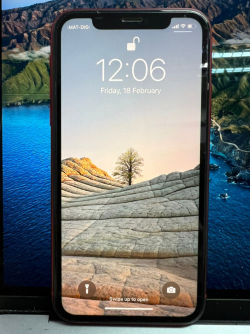 {WT} iPhone 11 256gb (RARE HK edition)