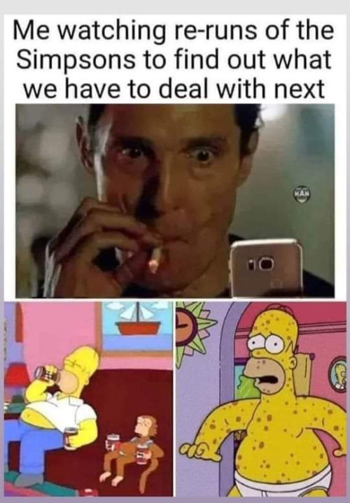 Monkeypox and simpsons