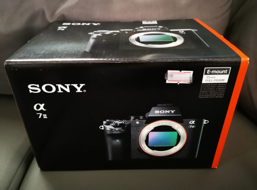 Sony entry level camera.
