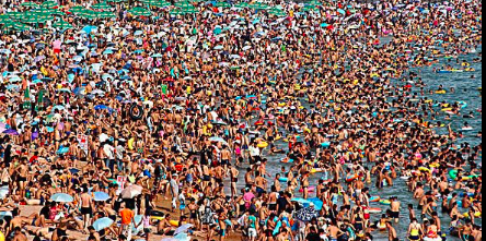 How to survive a human Stampede