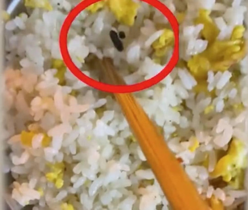 Boss deny fried rice gt rat shit n ate it