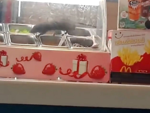 Menu Rahmah McD egg burger