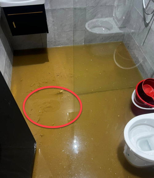 House of poop after heavy rain