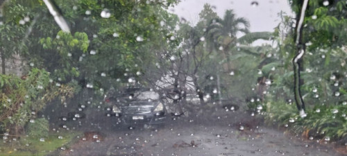 IMG 20230425 175620 948 - Pictr.com