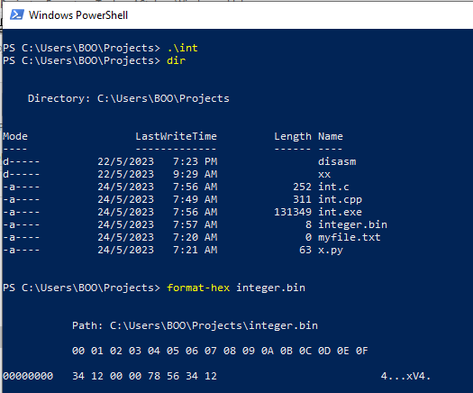 How does C/C++ store integer in binary file?