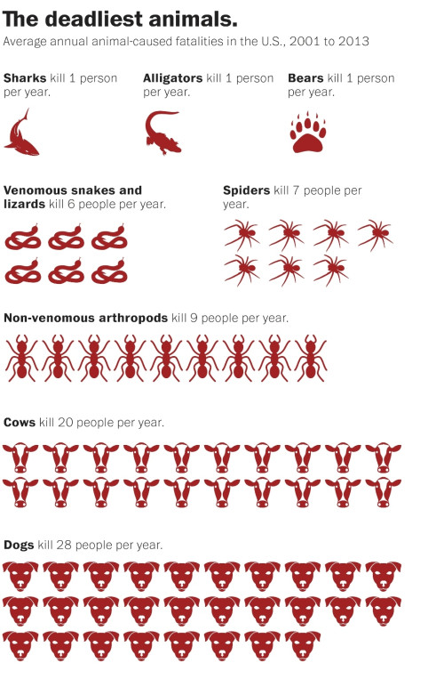 [NSF🍓/ ️/👧] Moo moo target little girl.
