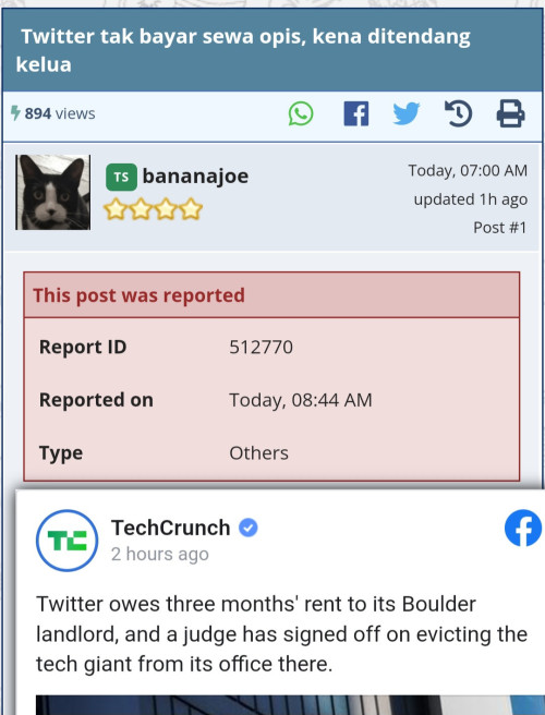 There is a serial reporter abusing report button