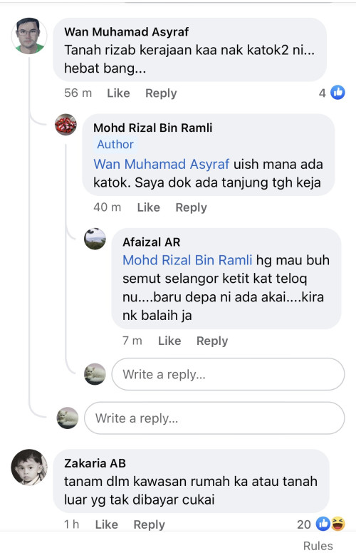 Pluck coconuts in taman area . Is it ok?