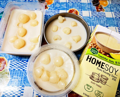 Homemade longan soy milk agar