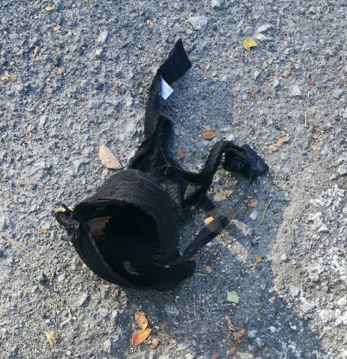 Screenshot 20230814 150516 com.android.gallery3d edit 465616148485200 ...