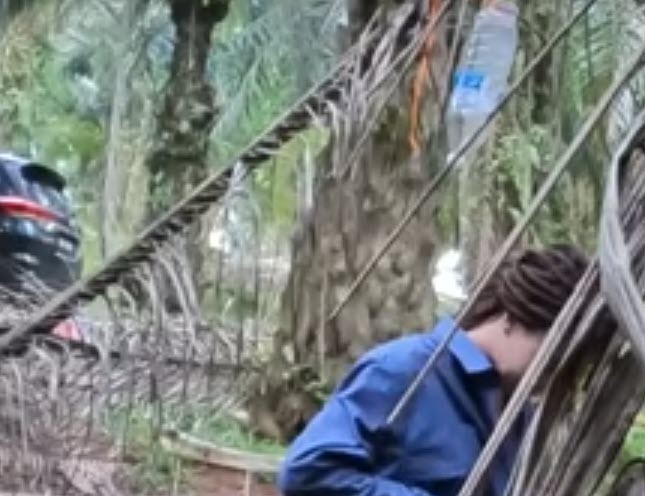 Gwai mui drive urus camping in malaysia