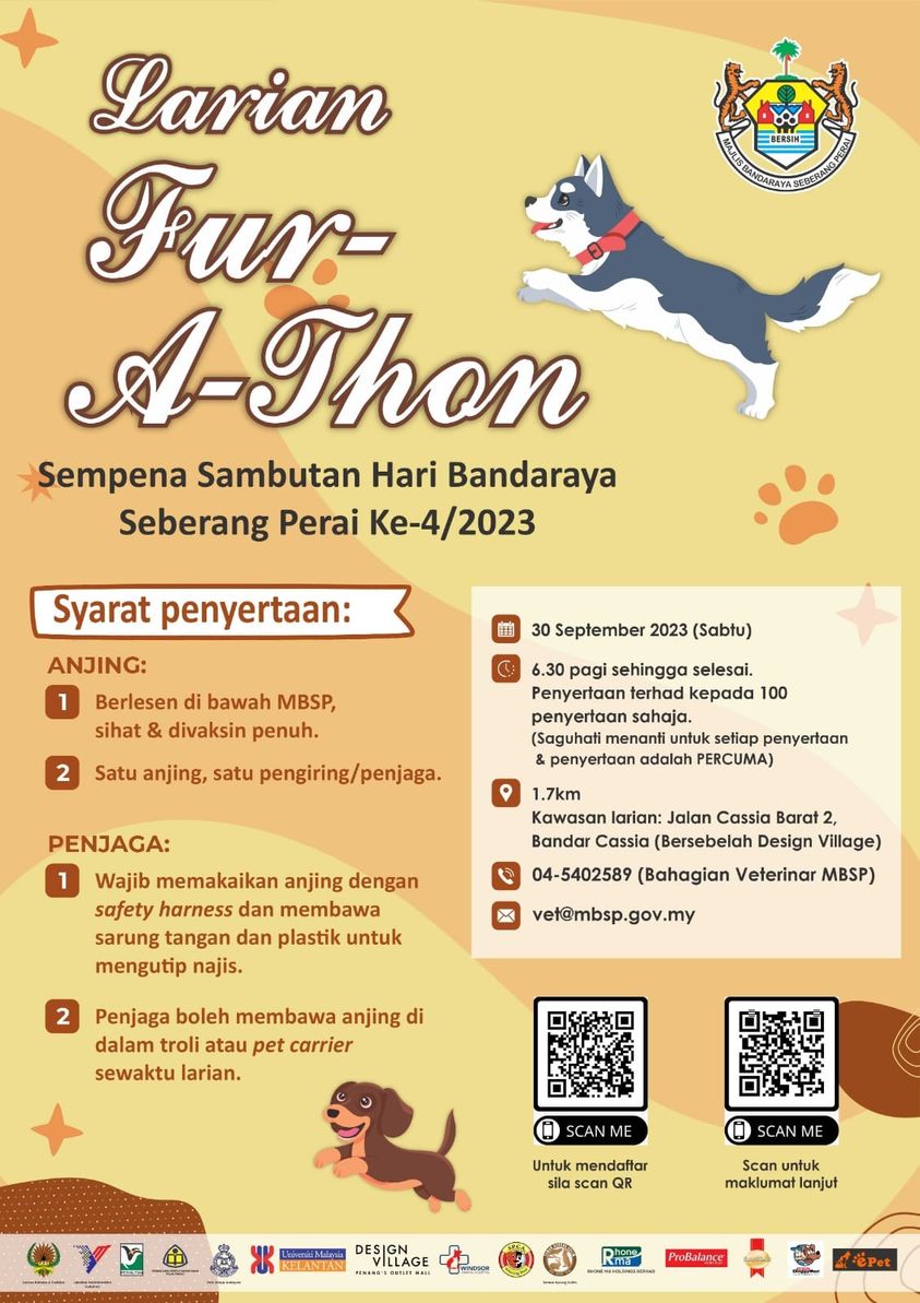 Larian hanjing di Pulau Pinang