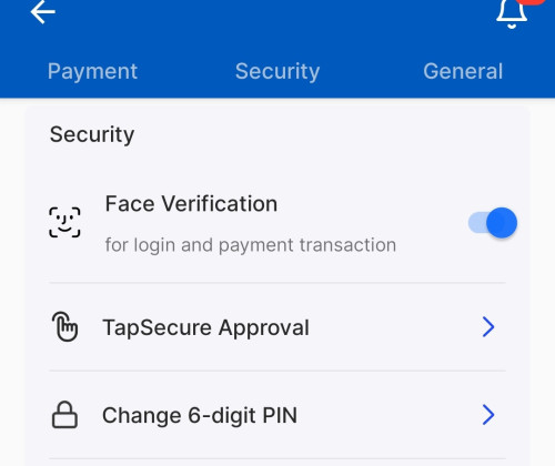 Touch n Go Pin leceh