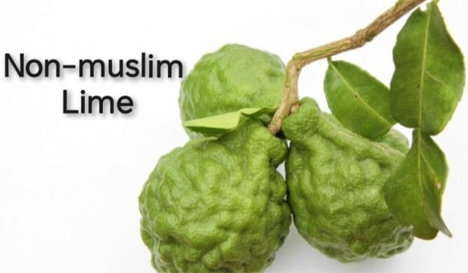 Non-muslim lime