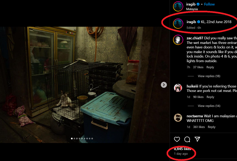 Foreign Photographer Exposes Cat Butcher in KL