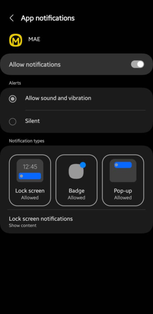MAE App Popup