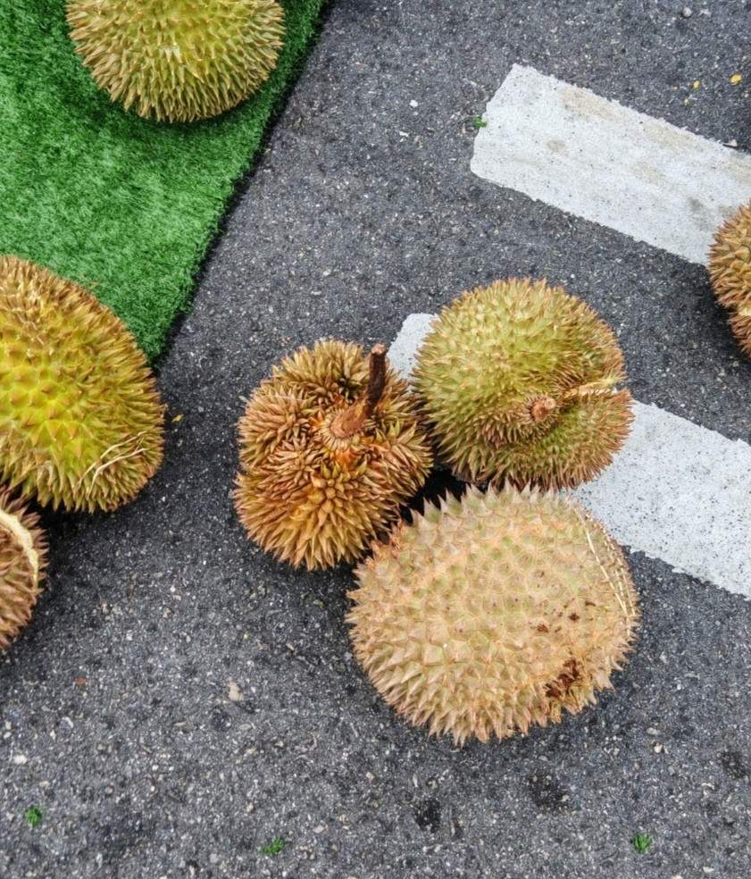 Screenshot 20240721 110700 com.hihonor.photos edit 54899970671921 ...